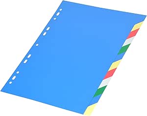FIS Color PP Divider, 12 Colors, Plain, A4 Size - FSDV12: Buy Online at ...