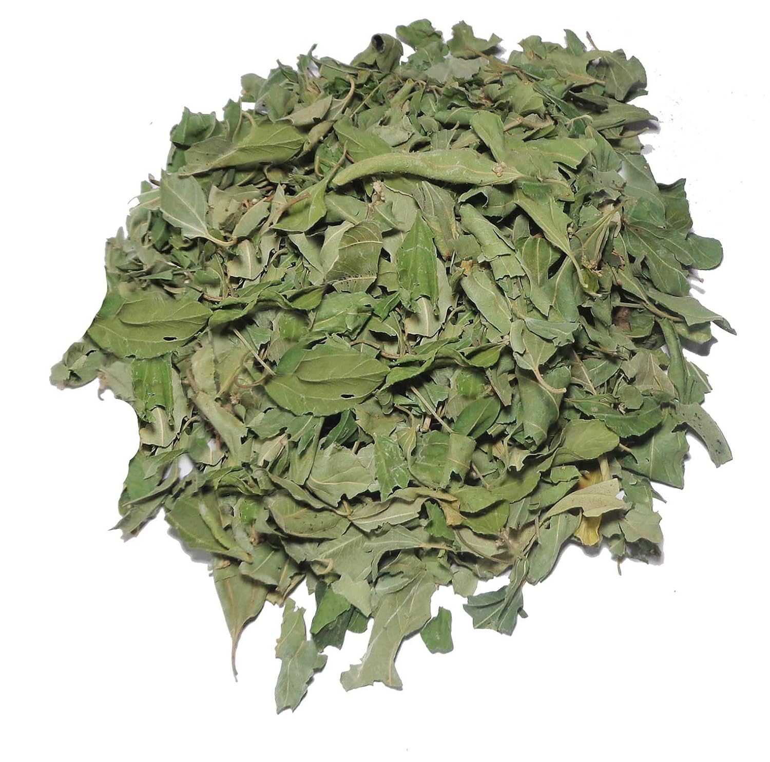 Amazon.com : Wholesale Seder Sidr Dried Broken Leaves Leaf ( Lote Tree ...