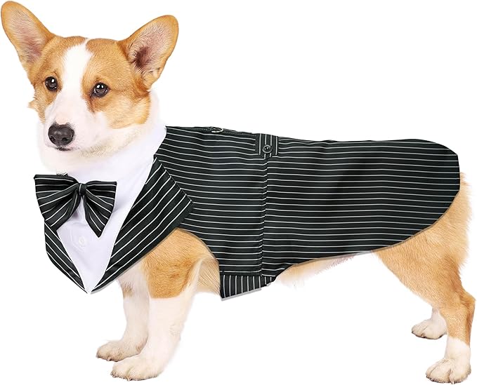 Amazon.com : FUNPARTY Dog Tuxedo Suit and Bandana Set - Wedding Party ...