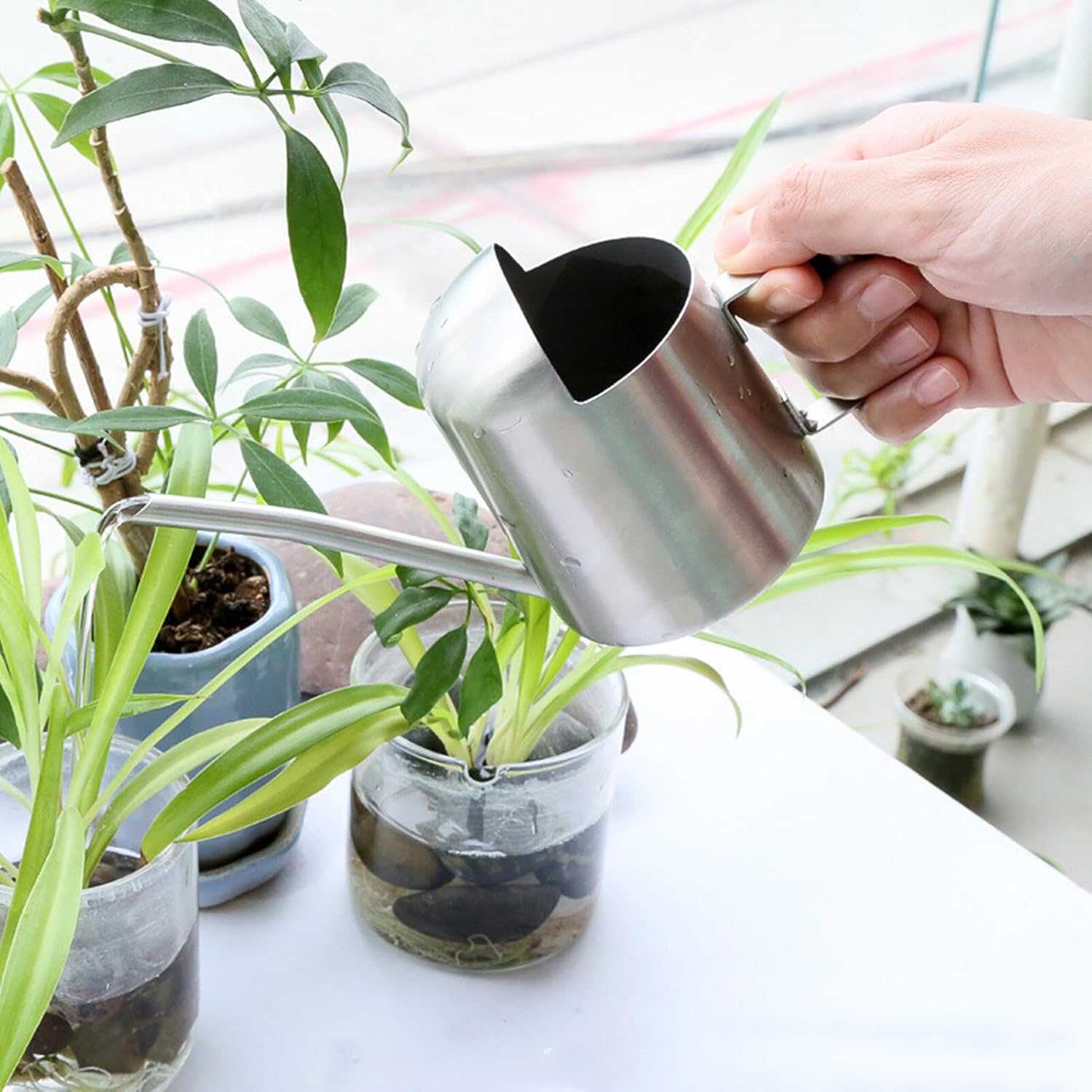 Amazon.com : CORDYGLOW Mini Watering Can, Small Watering Can, Stainless ...