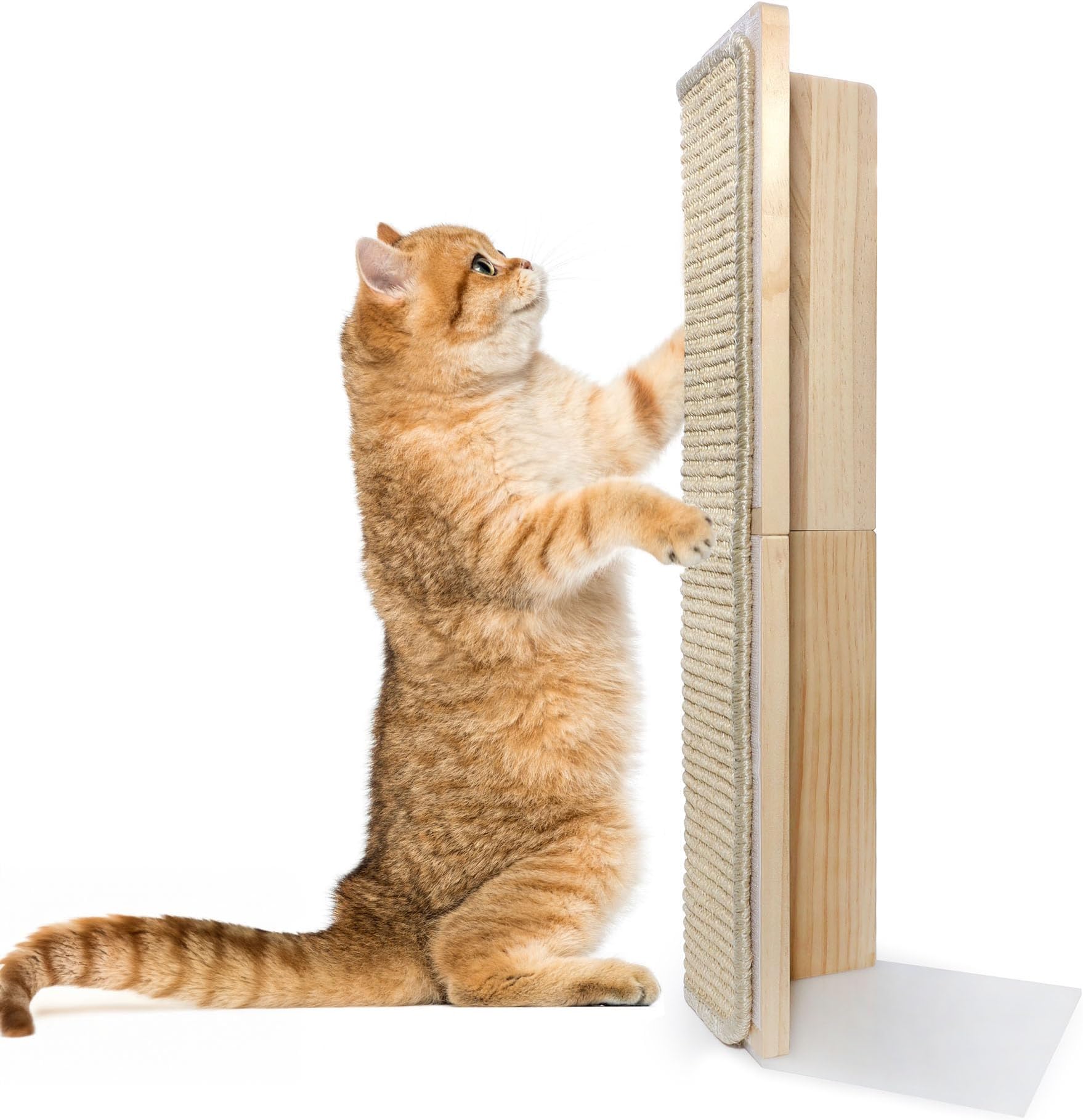 Amazon.com : Jugglenaut Couch Corner Scratching Post w/Replaceable ...