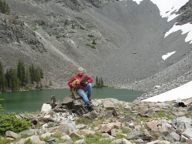 Amazon.in: Leila Peters: books, biography, latest update