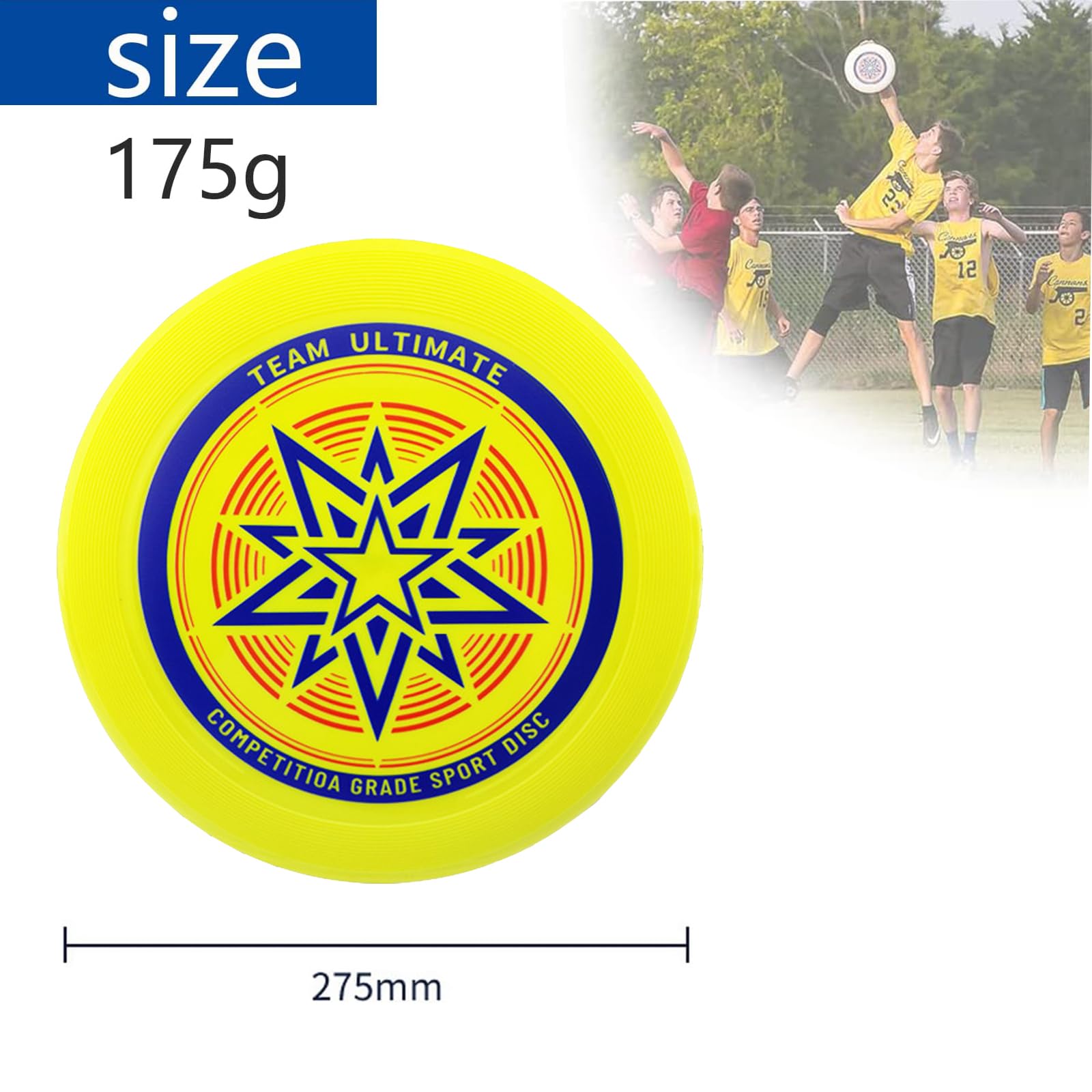 Pro Ultiem Frisbee Logo