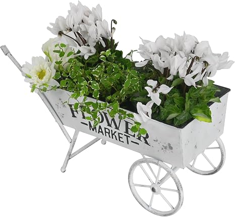 Amazon.com : Z² BellaDecor Small Flower Cart with Wheels Metal Wagon ...