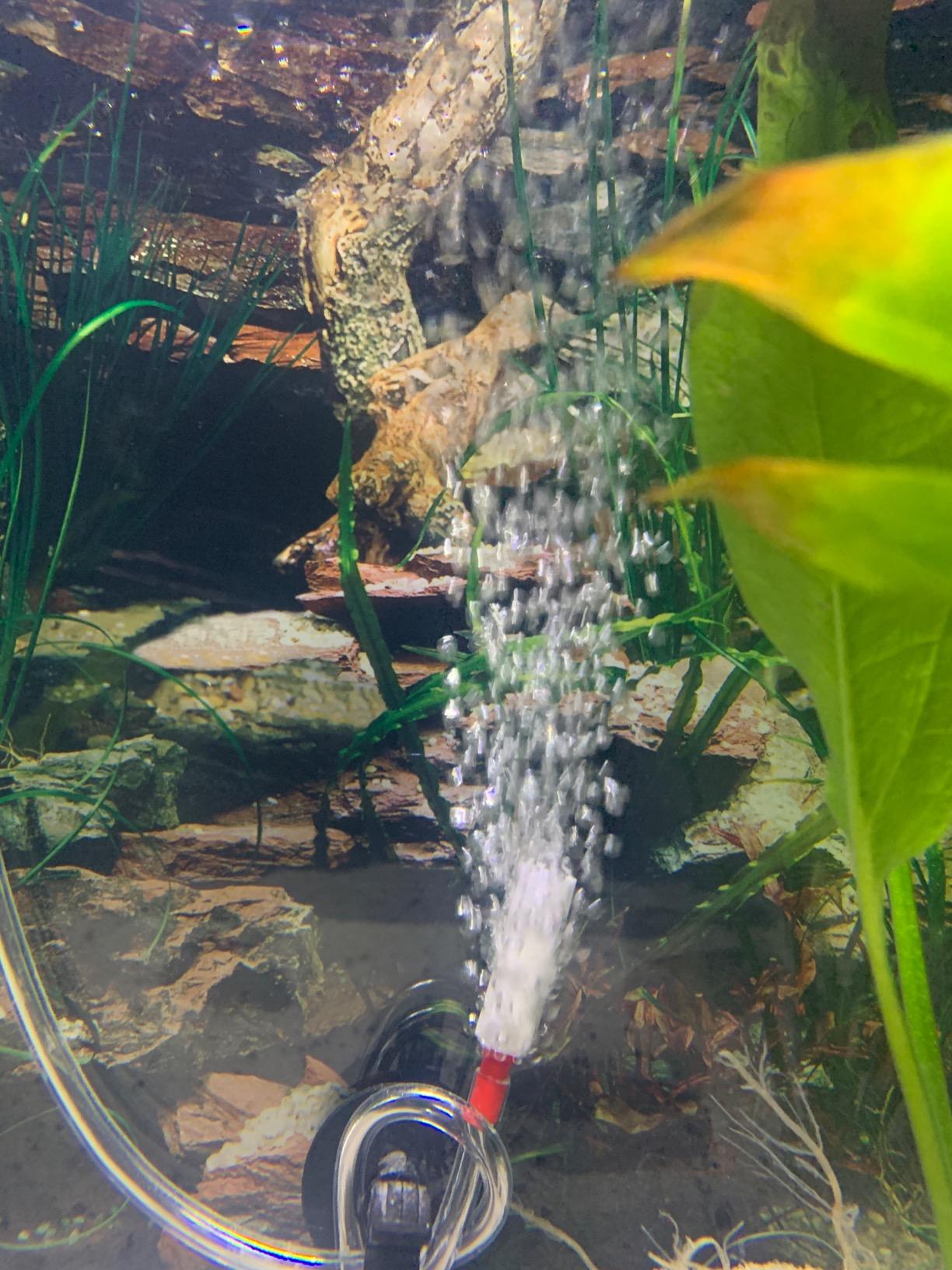 Amazon.com : Marina Air Diffuser, 3-Pack : Aquarium Decor Rocks : Pet ...