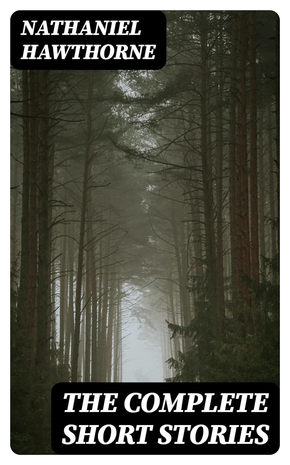 The Complete Short Stories - Kindle edition by Hawthorne, Nathaniel ...