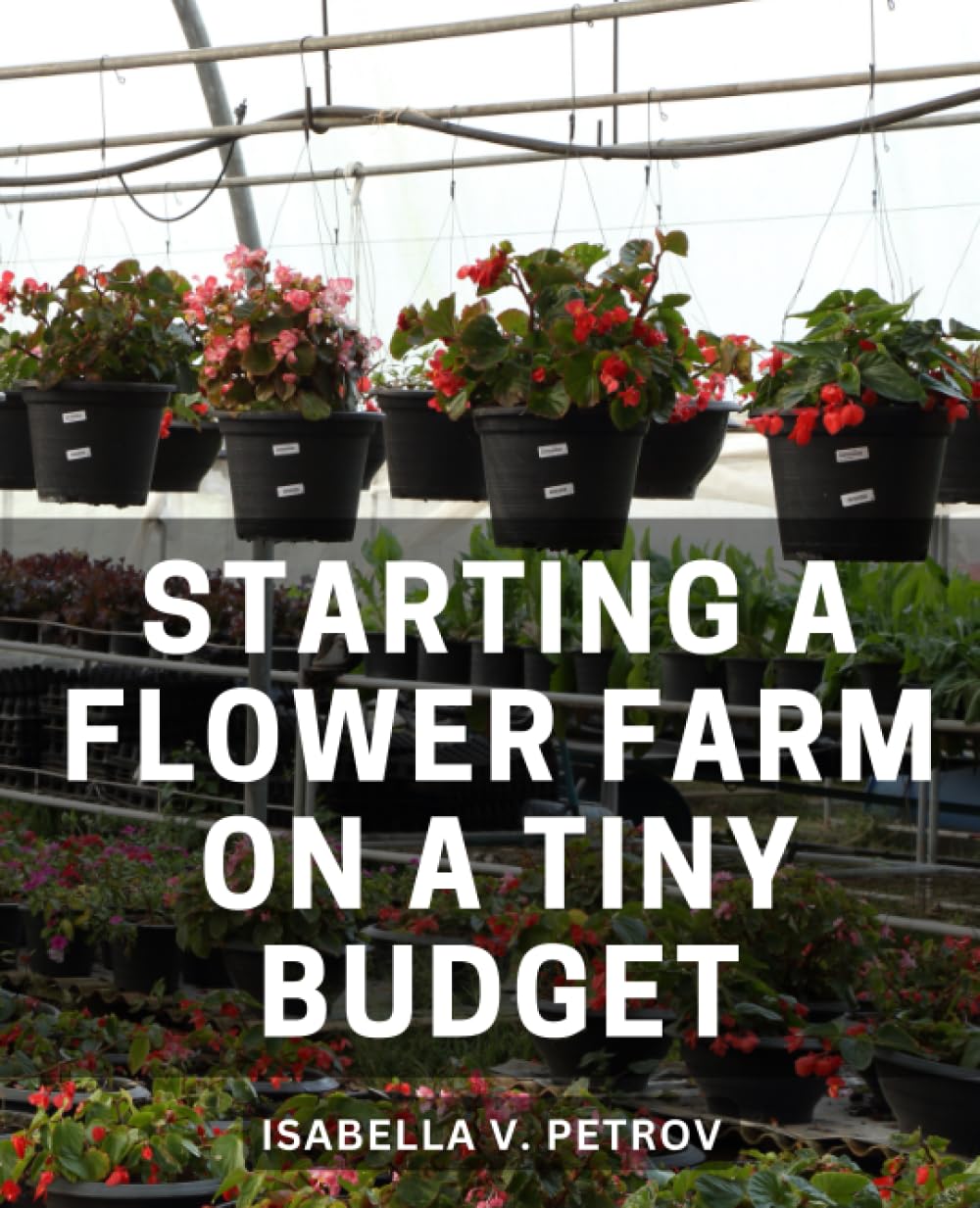 Starting A Flower Farm On A Tiny Budget: A Complete Step-by-Step Guide ...