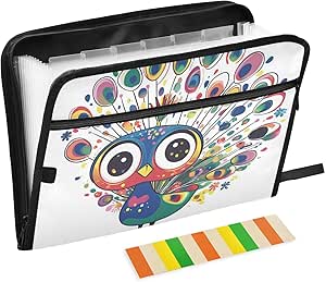 Amazon.com : KLL Expanding File Folder Pocket Expandable File Pocket ...