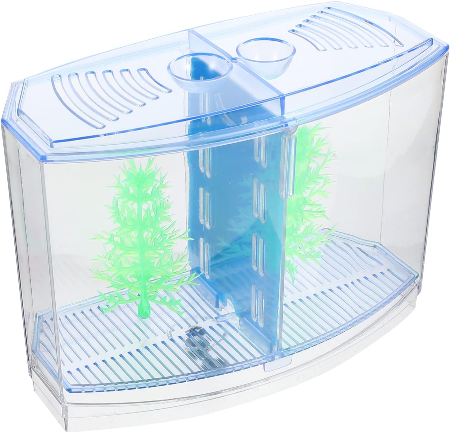 Amazon.com : Saim Betta Fish Tank Small Aquarium with Divider Mini Fish ...