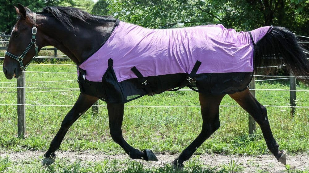 Amazon.com: Rugged Ride Deluxe Mesh Fly Sheet : Pet Supplies