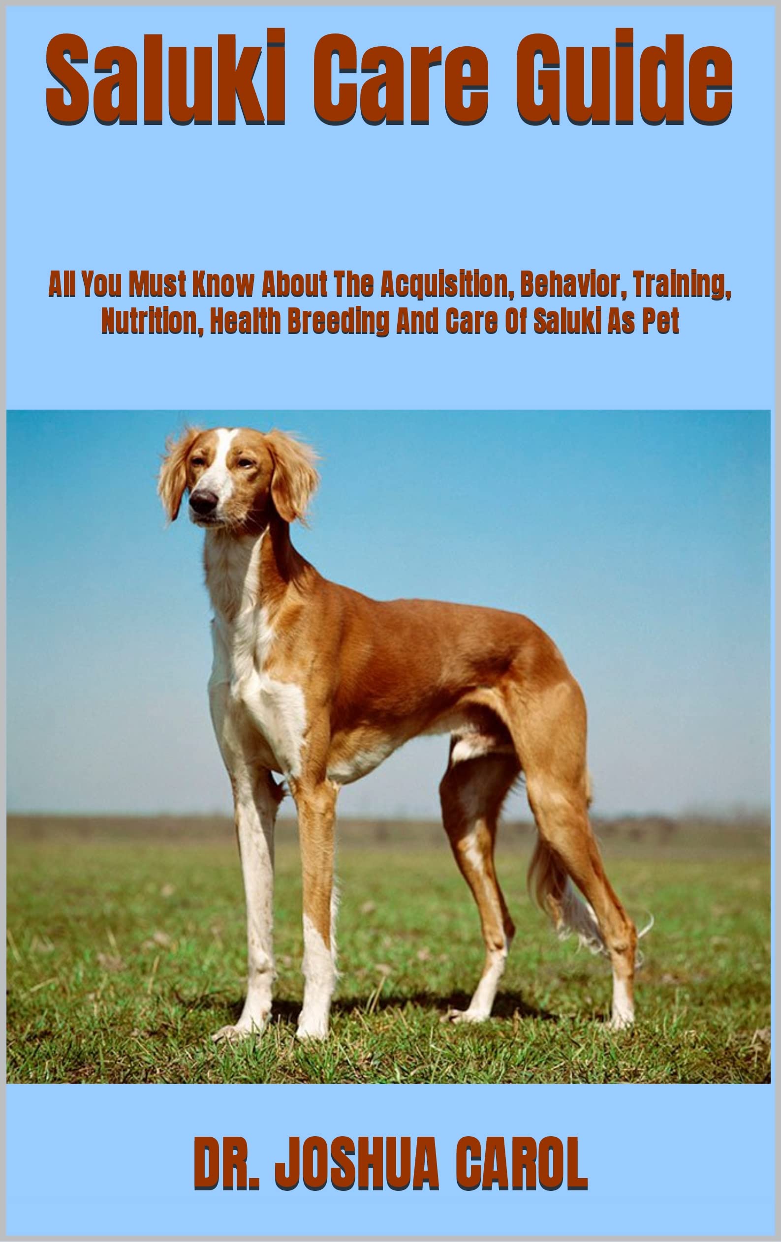 Buy Saluki Care Guide : All You Must Know About The Acquisition ...