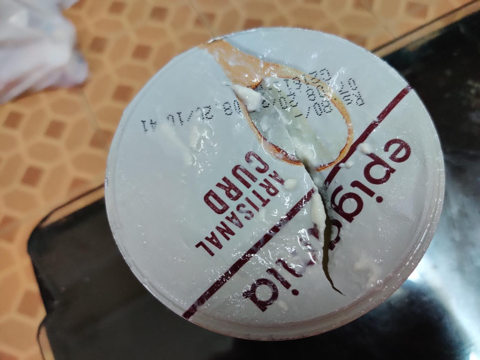 Epigamia Lactose Free Curd 400g : Amazon.in: Grocery & Gourmet Foods