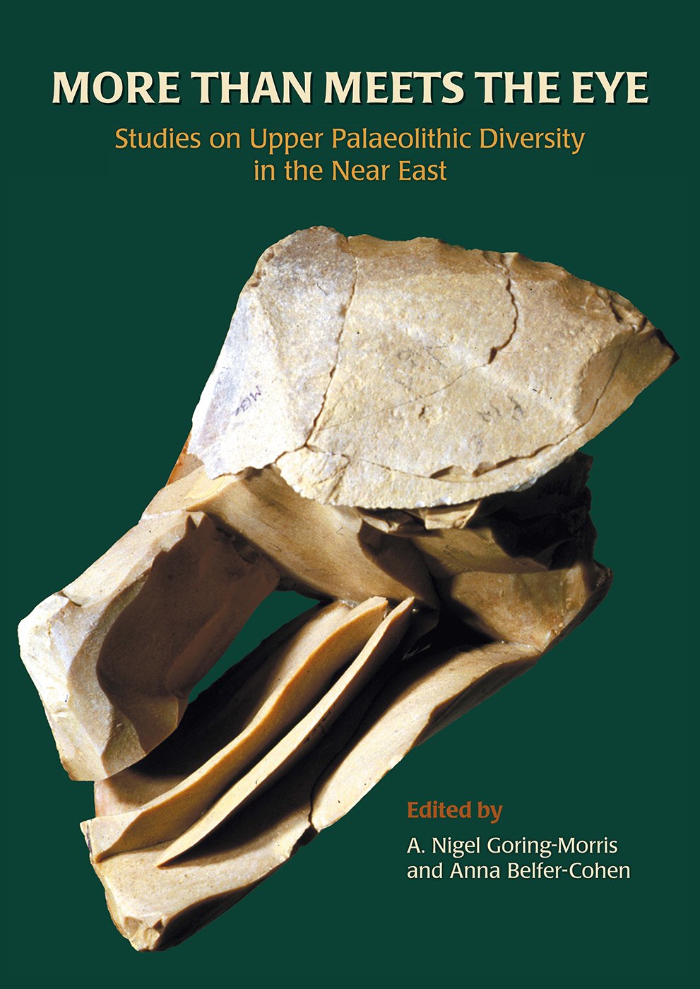 More than Meets the Eye: Studies on Upper Palaeolithic Diversity in the ...