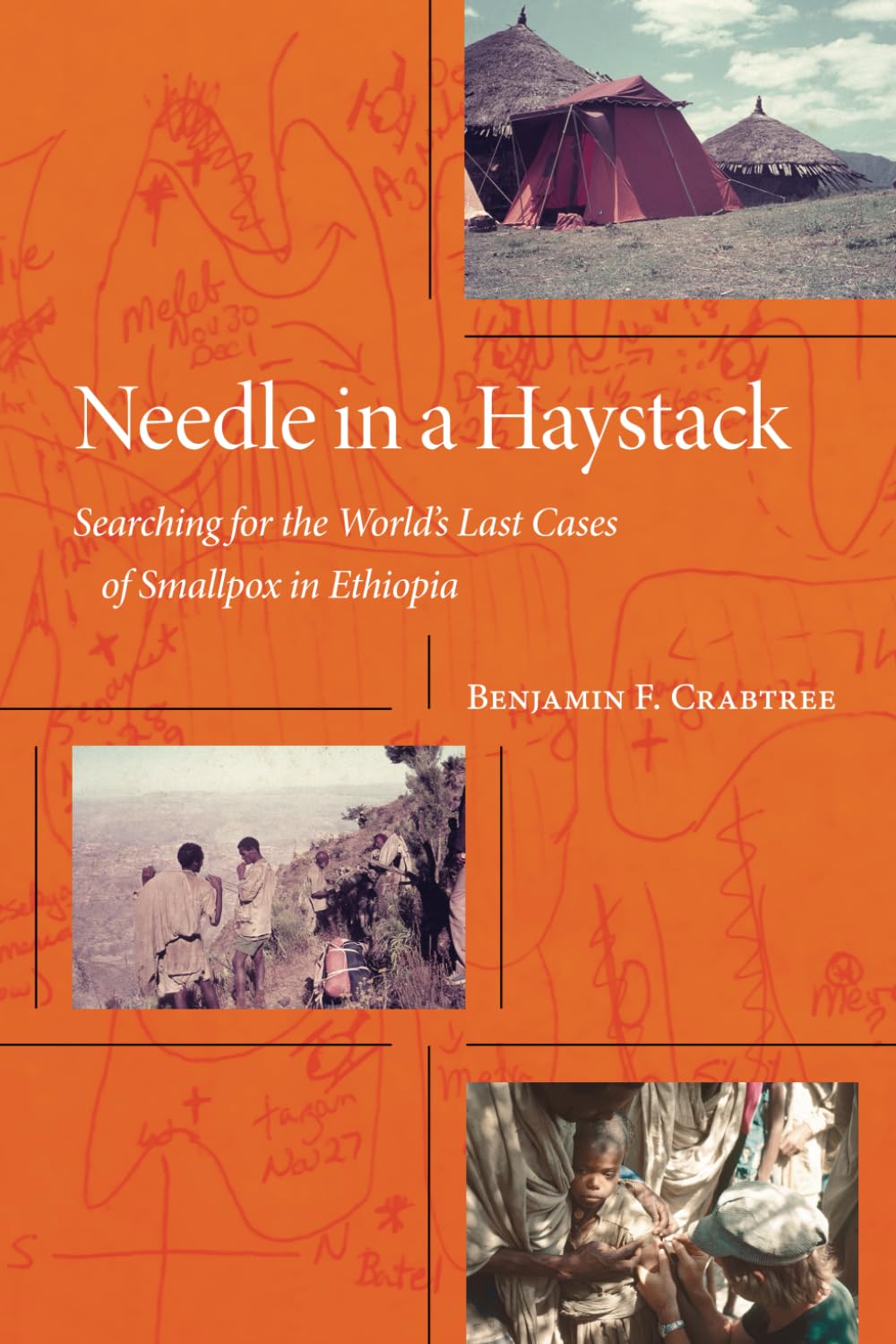 Amazon | Needle In a Haystack: Searching for the World's Last Cases of ...