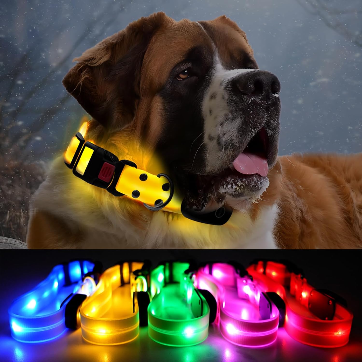 Amazon.com : ROUWINNE Led Glowing Dog Collars Rechargeable, Light Up ...