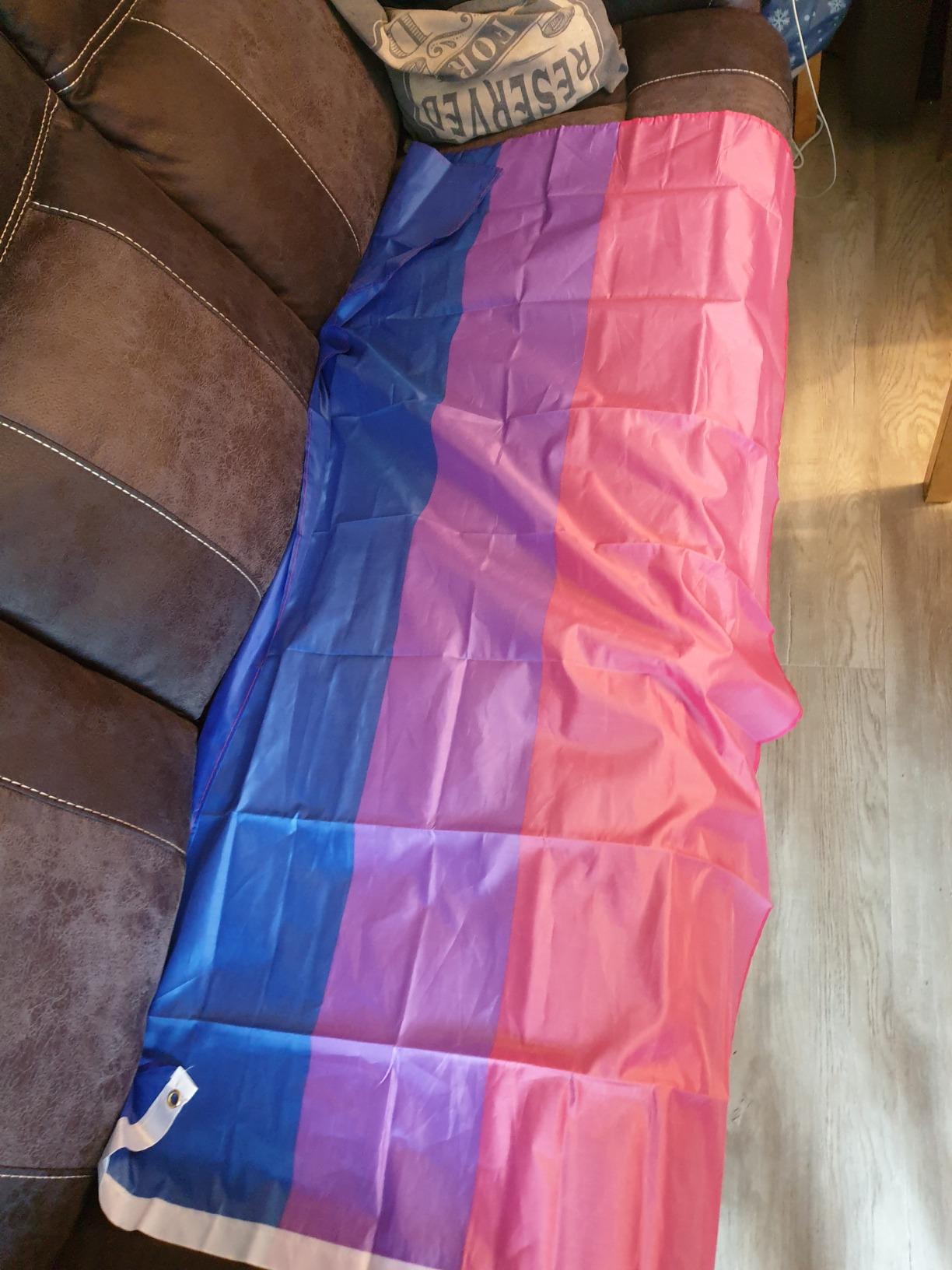 TRIXES Bisexual Flag – LGBTQIA2s+ Pride Flags – Outdoor and Indoor ...