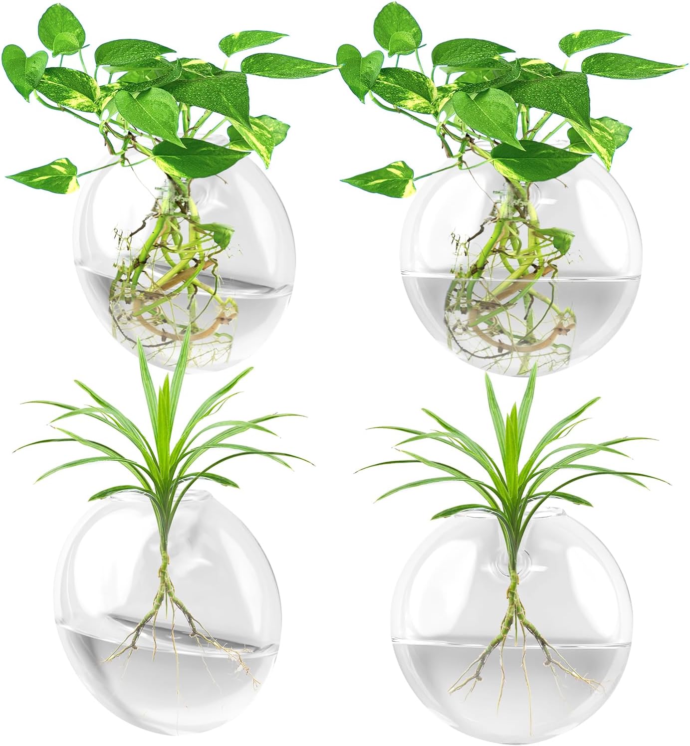 Amazon.com: BlogBlog Wall Hanging Planters Terrarium Glass Air Plant ...