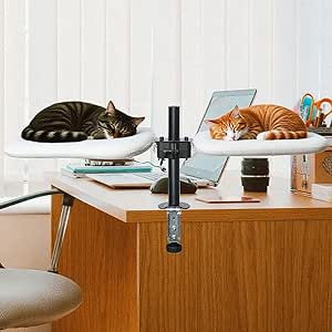 Amazon.com : JuoPool Double Cat Desk Bed - Desktop Attachment Two Cat ...