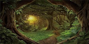 AWERT 60x24 inches Psychedelic Forest Terrarium Background Dim Old ...