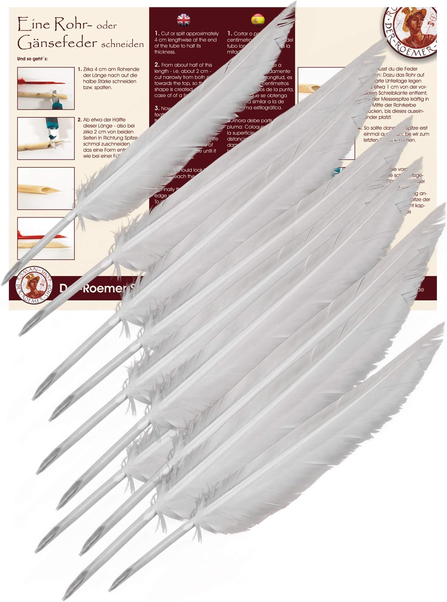 Gregory Crafts & Gifts White Goose Quill Style Feather x 12, 4 to 6 ...