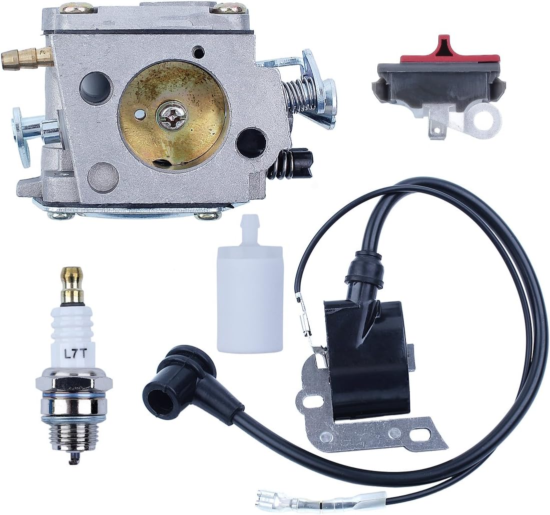 Amazon.com: HAISHINE Carburetor Ignition Coil Switch Spark Plug Fuel ...