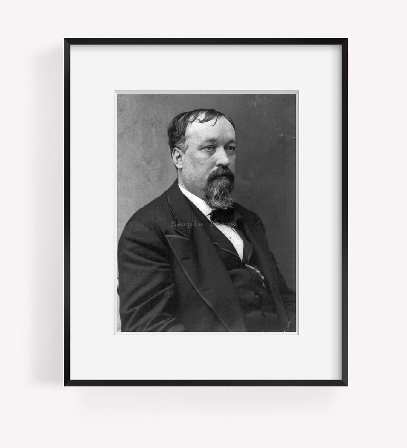 Amazon.com: INFINITE PHOTOGRAPHS Photo: Judge Benjamin Helm Bristow ...