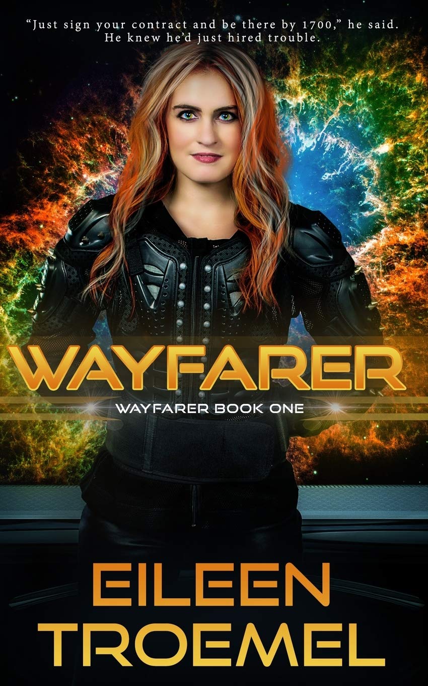 Wayfarer (Wayfarers): Troemel, Eileen: 9781501093852: Amazon.com: Books