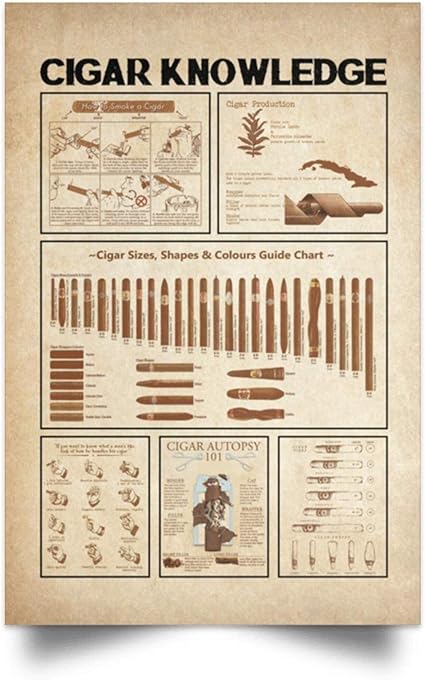 Amazon.com: 8x12 IN Cigar Knowledge Metal Tin Signs Cigar Reference ...