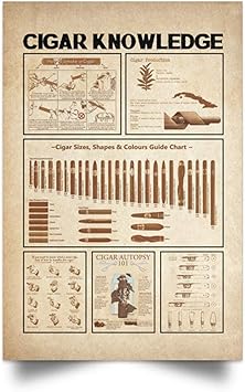 Amazon.com: 8x12 IN Cigar Knowledge Metal Tin Signs Cigar Reference ...