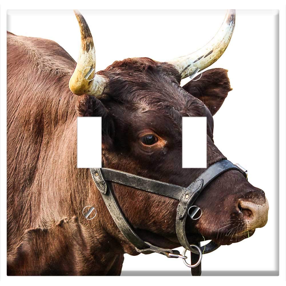 Beef Cattle With Horns