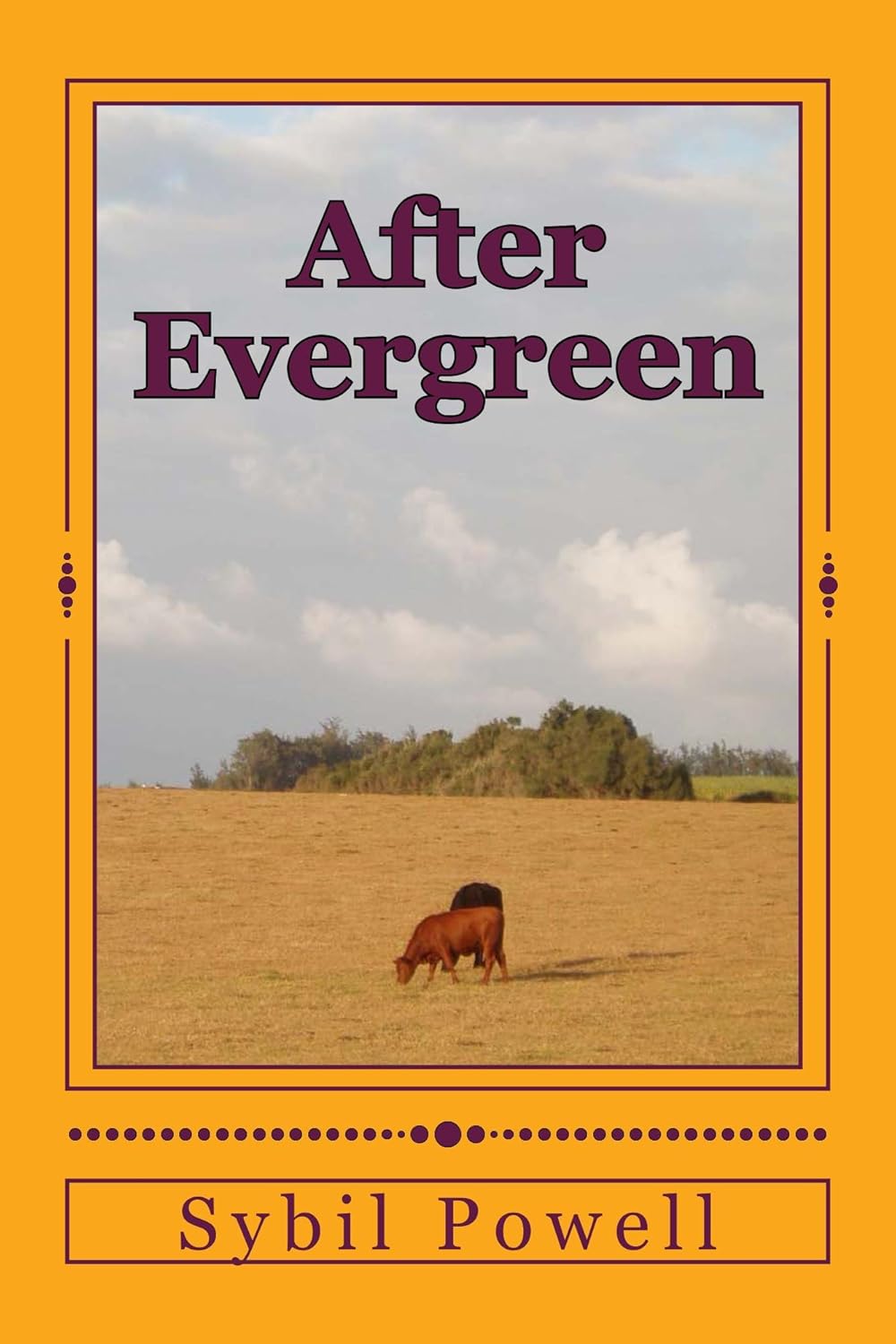 Amazon.com: After Evergreen (Evergreen Series Book 3) eBook : Powell ...