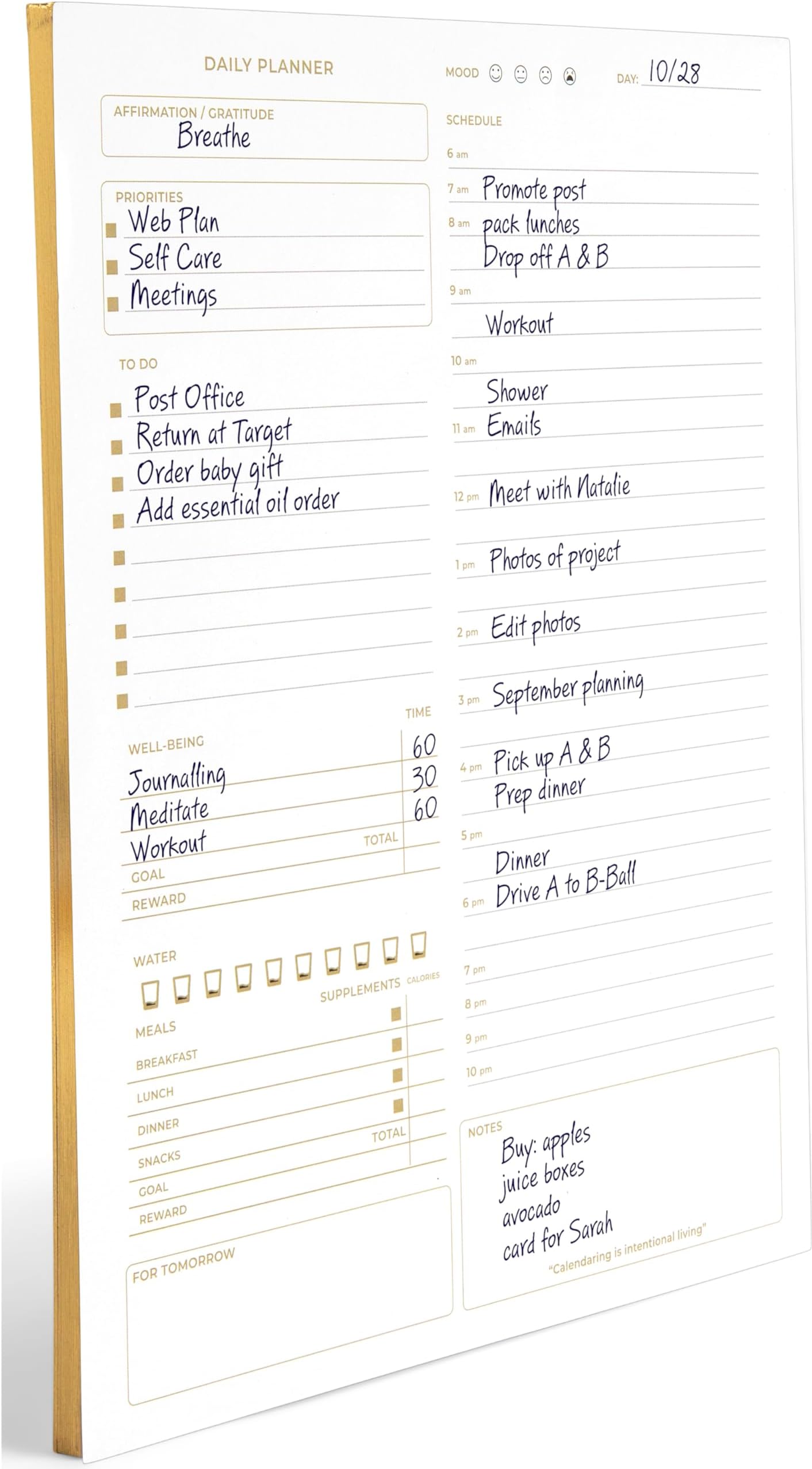 Amazon.com : ThreeKin Let's Do This Daily Planner - 8.5"x11", 50 Tear ...
