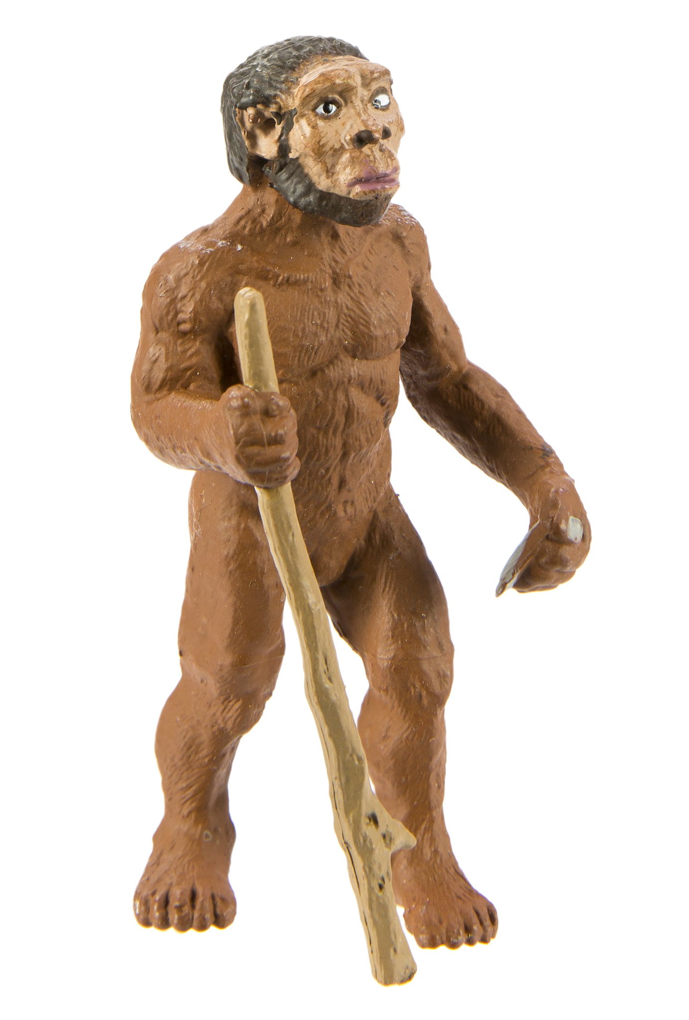 Safari Ltd Safariology Evolution of Man Historical Toy Figurines ...