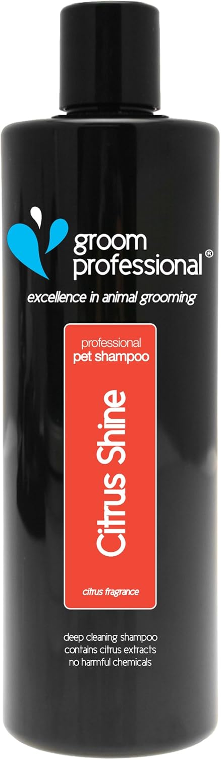 Groom Professional Citrus Shine Shampoo, 500 ml : Amazon.co.uk: Pet ...