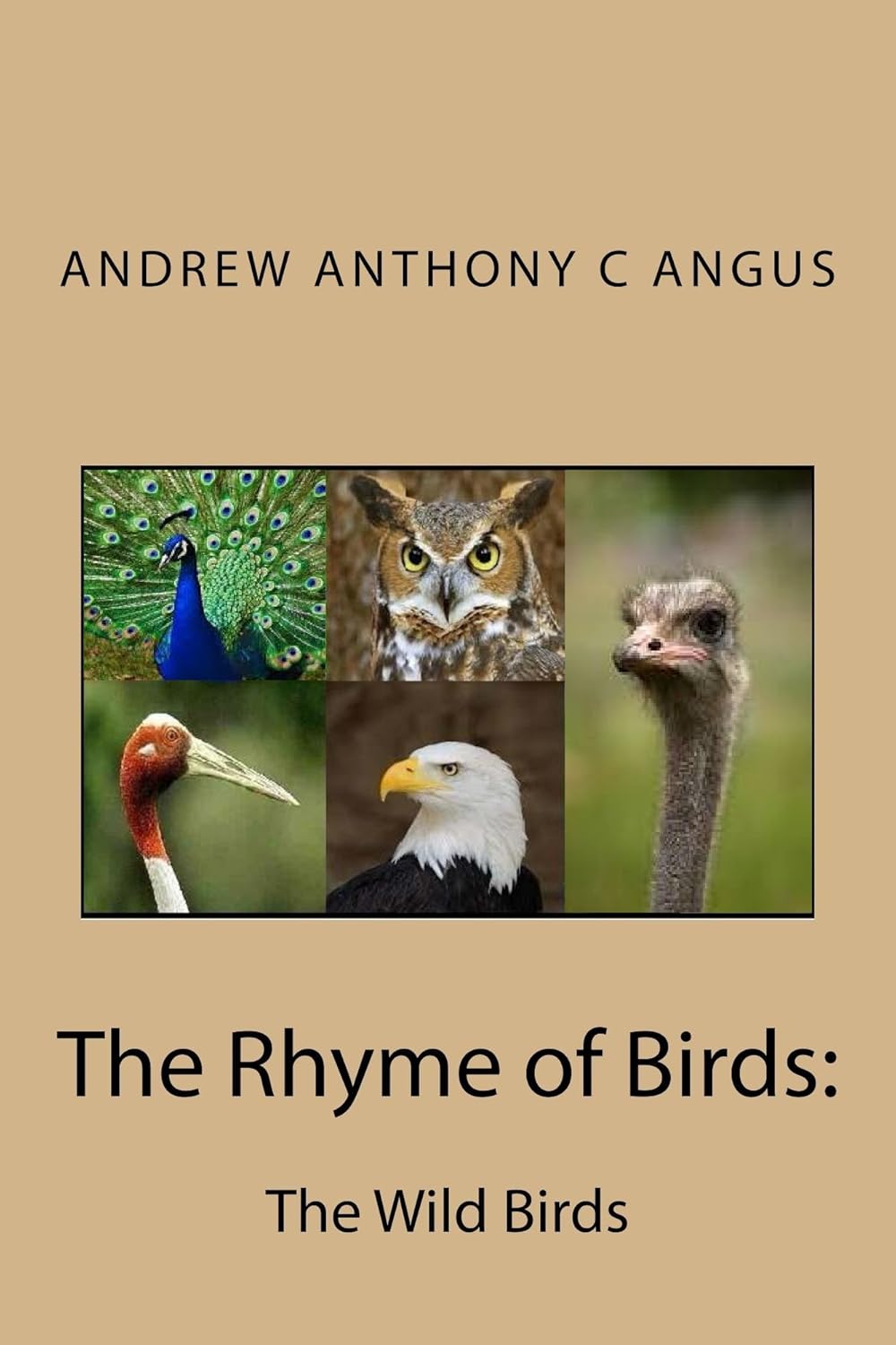 Amazon.com: The Rhyme of Birds: The Wild Birds eBook : Angus, Andrew ...
