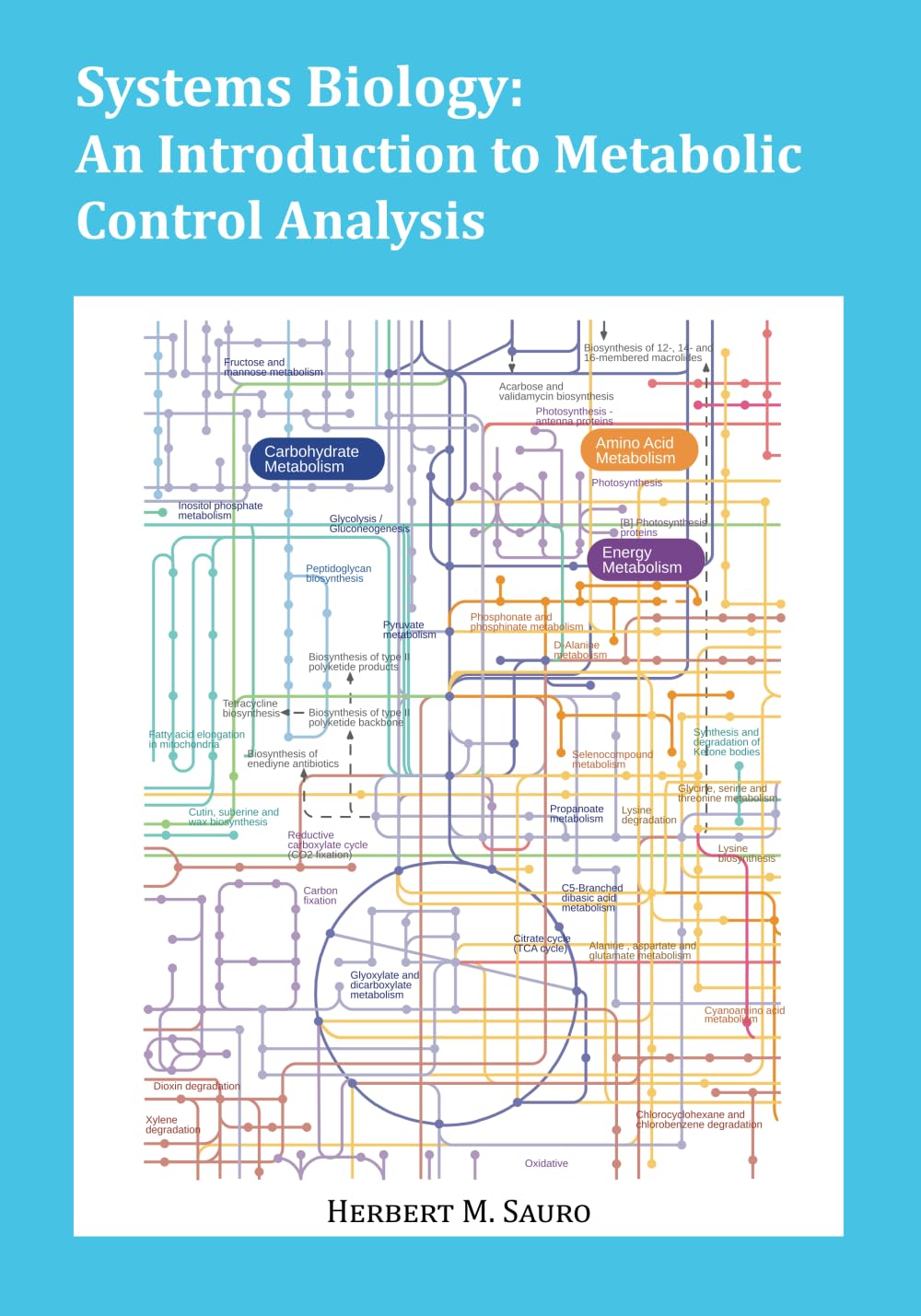 Systems Biology: An Introduction to Metabolic Control Analysis: Sauro ...