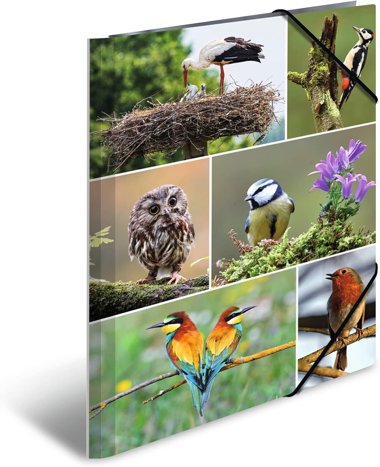 HERMA 19345 Portfolio Folder DIN A4 Animal Worlds Home Birds Set of 3 ...