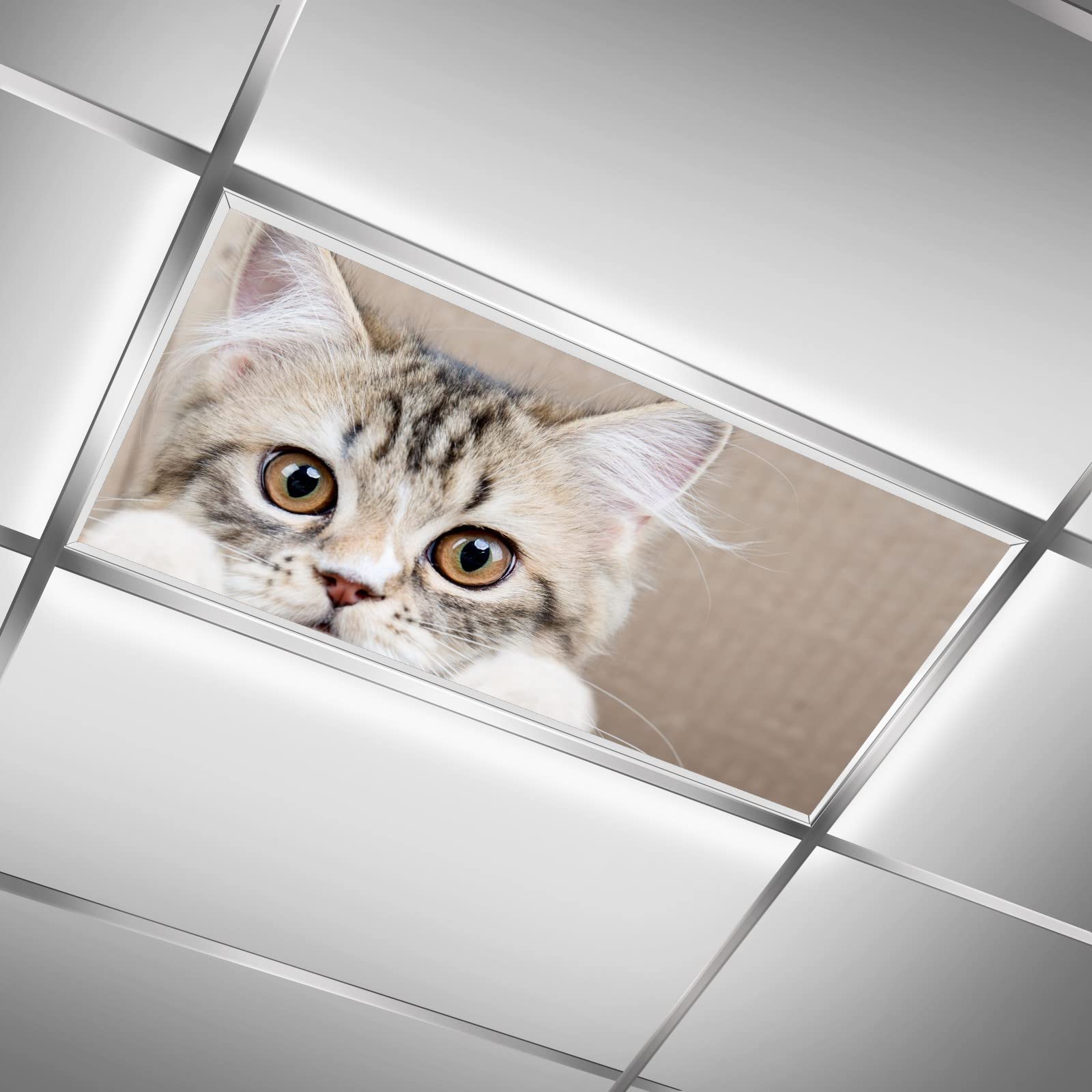 Office Ceiling Light Covers Lorougei Fluorescent Light Covers For