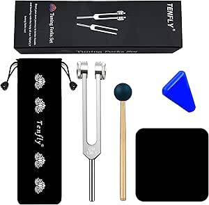 Amazon.com: OM 136.1hz Tuning Fork Weighted for Healing -Heart Chakra Tuning Energy Forks ...