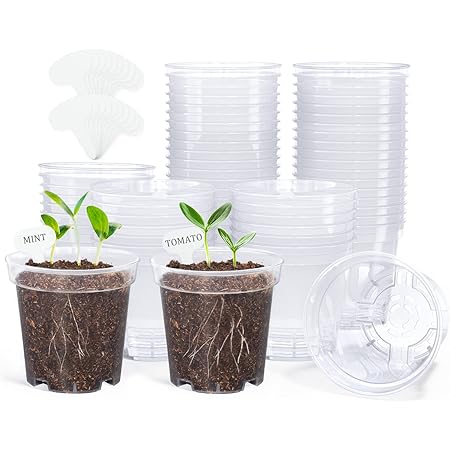 Amazon.com: RooTrimmer 200-Pack 2 inches Seeding pots for Seeds ...