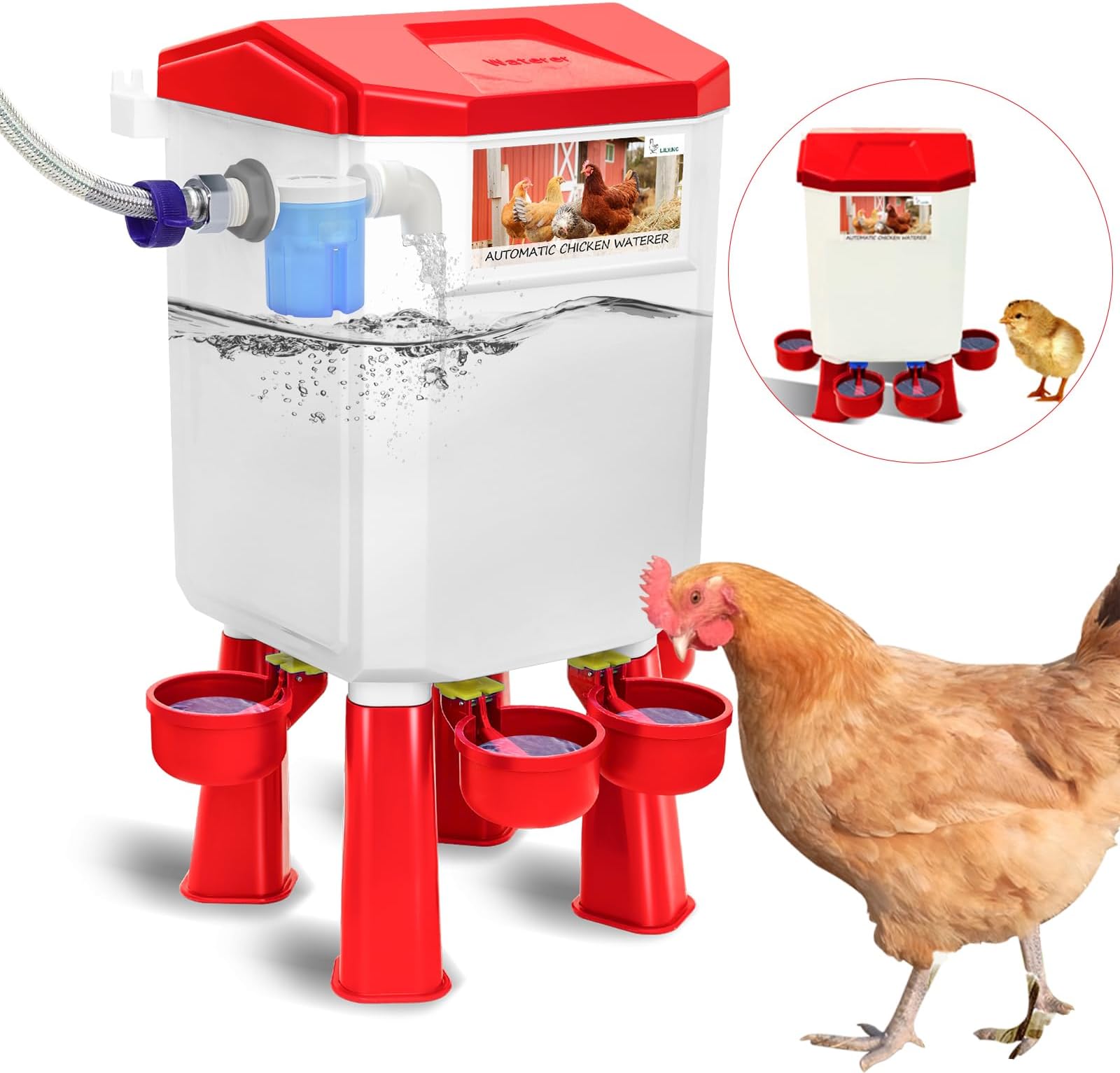 Amazon.com: Lilyang Float-Controlled Automatic Chicken Waterer for ...