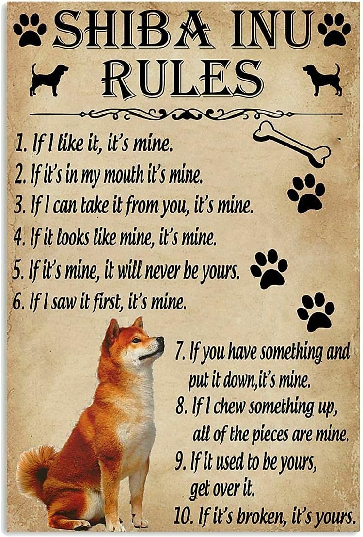 Amazon.com: Geuuki Metal Sign Shiba Inu Rules Vintage Retro Aluminum ...