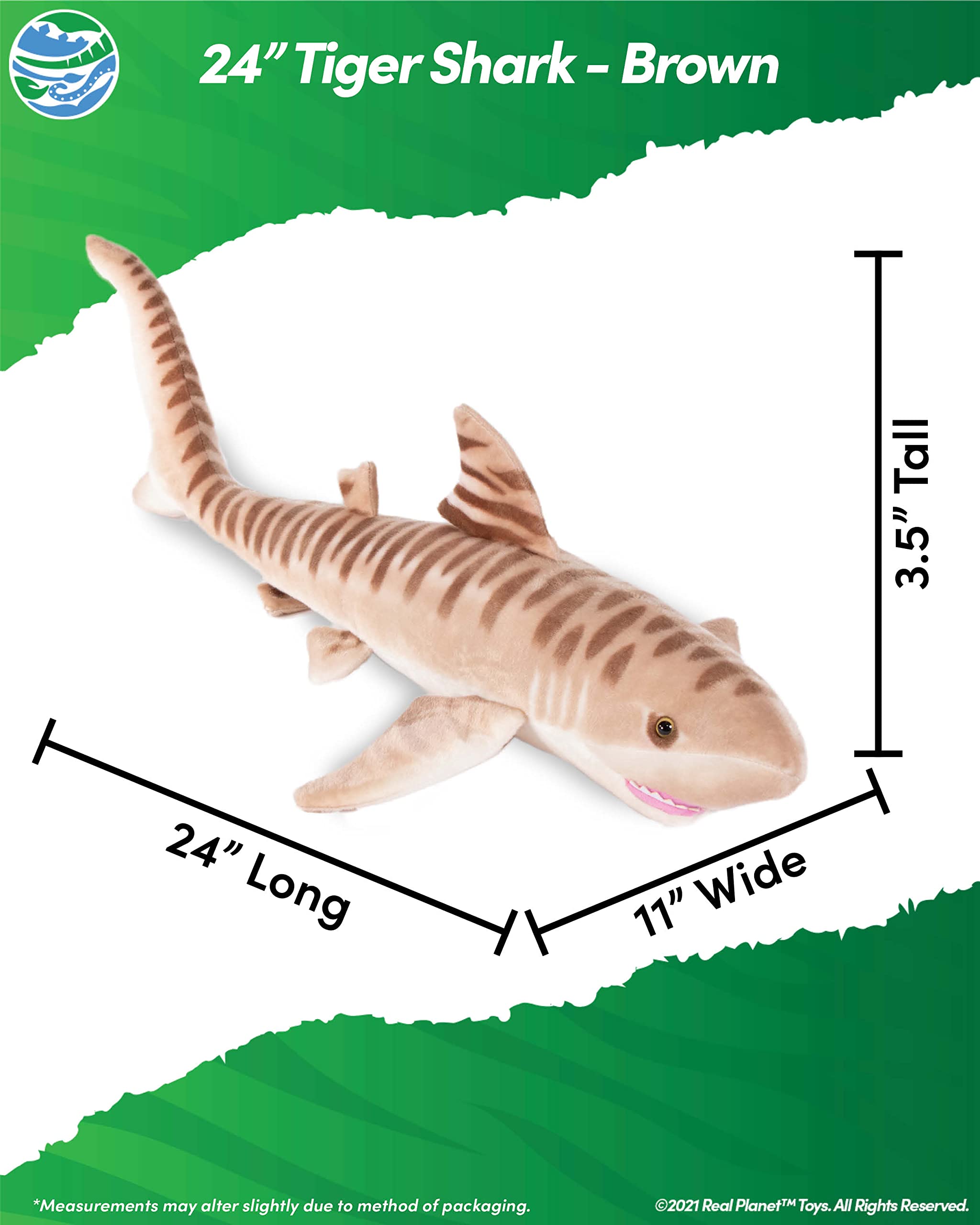 Baby Tiger Shark Images