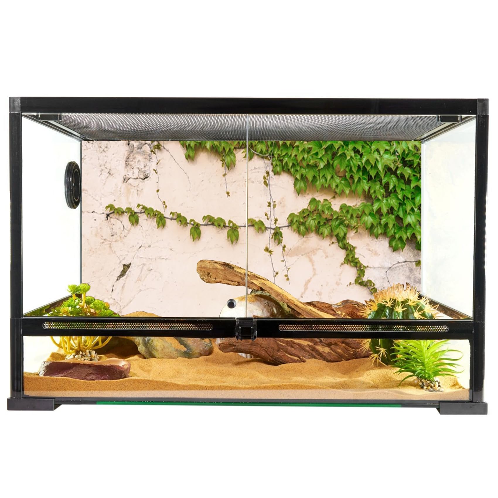 Snapklik.com : Reptile Terrarium Background 48x20 Inch Reptile Tank ...