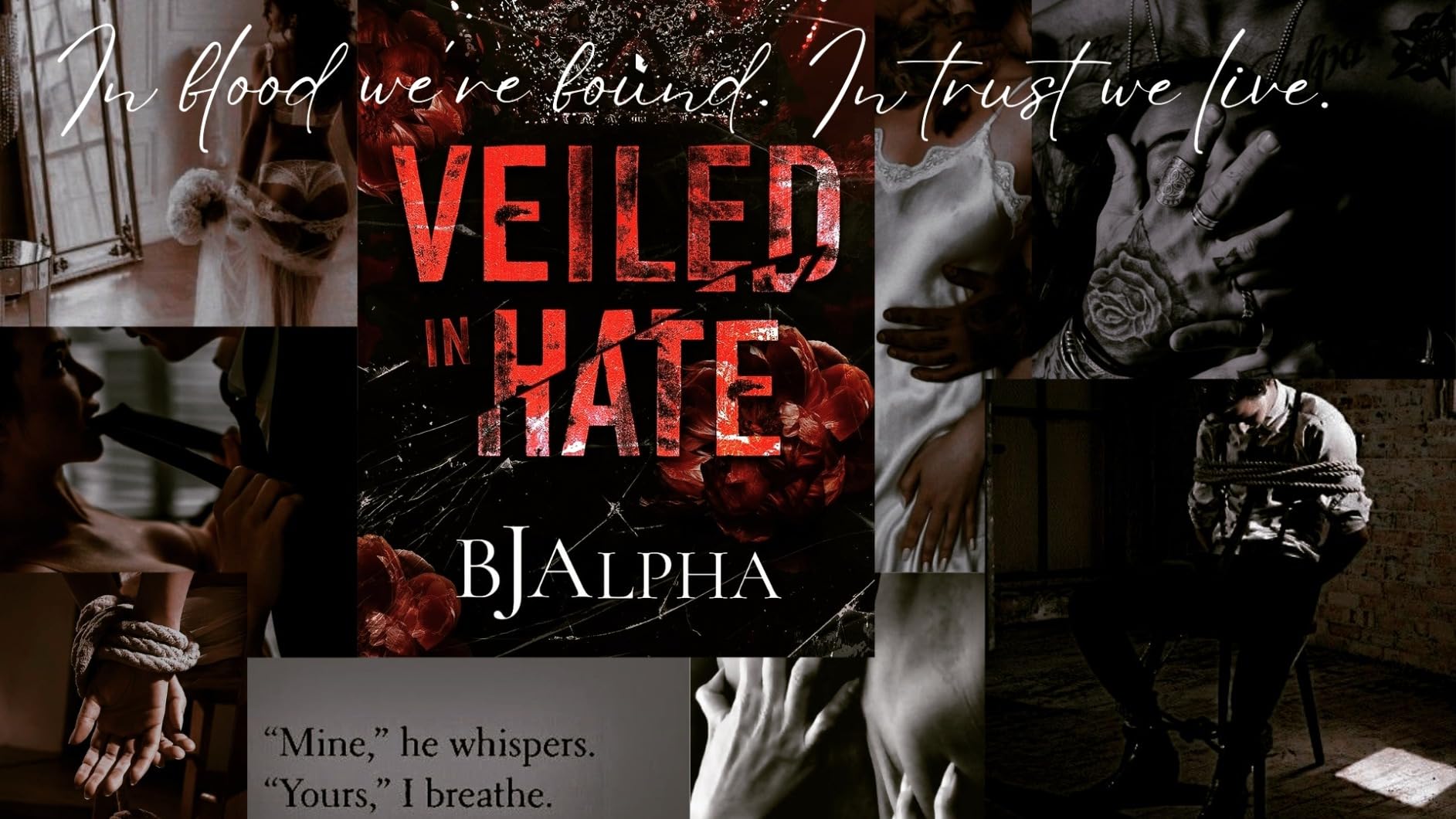 Veiled In Hate - Kindle edition by ALPHA, BJ . Romance Kindle eBooks ...