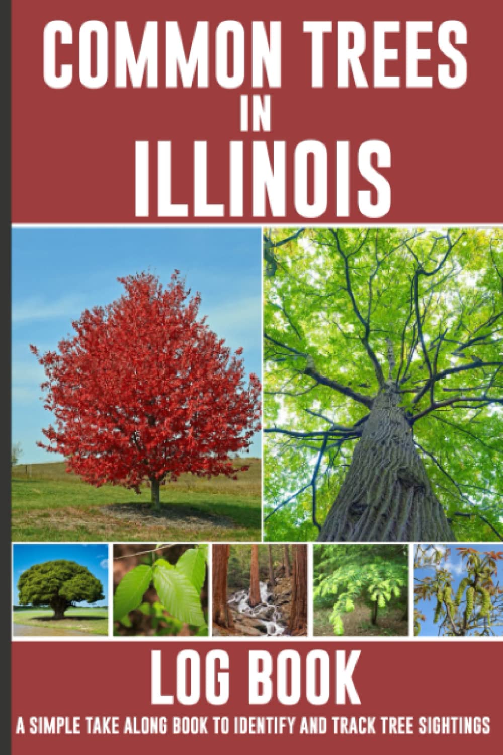 Common Trees in Illinois: Common Trees of Illinois Log Book To Identify ...