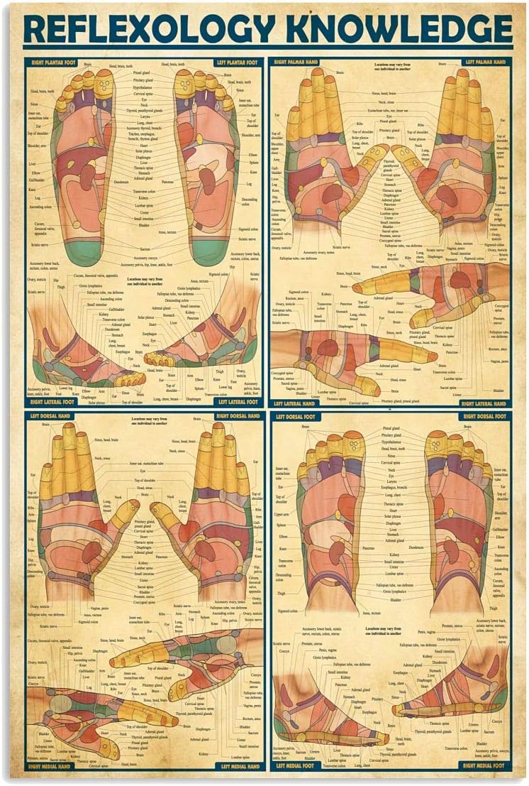 Amazon.com : 8x12 IN Reflexology Knowledge Metal Tin Signs Reflexology ...