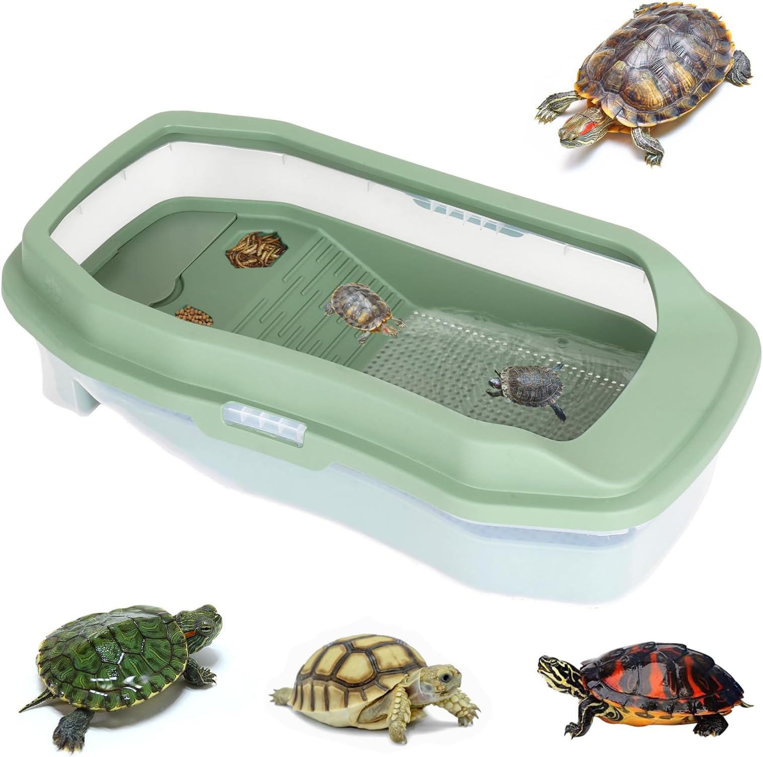 Amazon.co.jp: Xverycan PP Material Turtle Tank Large Turtle Aquarium ...
