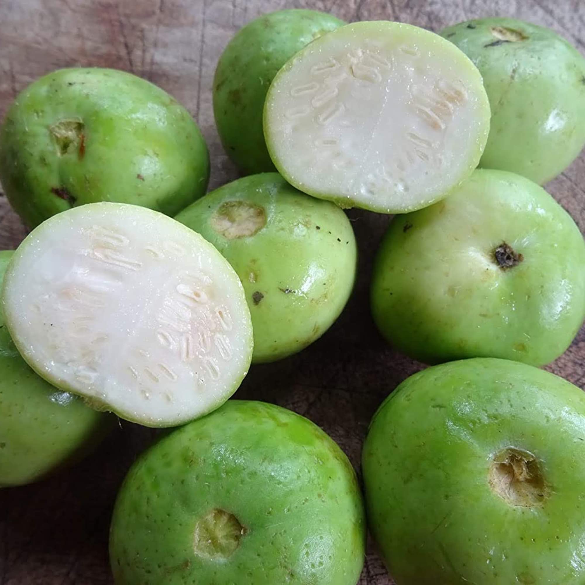 Tinda Gourd