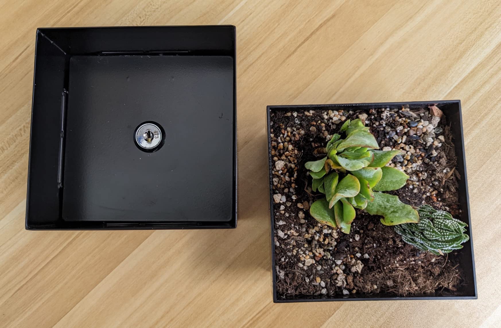 $4/mo - Finance Sdstone Flower Pot Diversion Safe With Fireproof Money ...